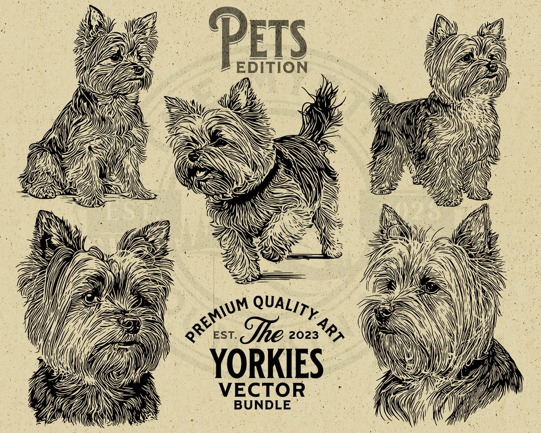 Yorkshire Terrier Vector Art Illustration Bundle (digital Download) - Etsy