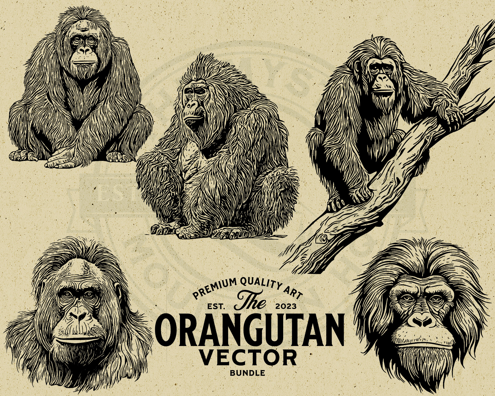 Orangutan Vector