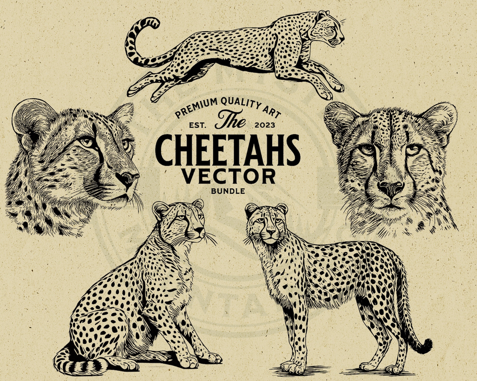 Cheetah Vector Animal Illustration Bundle, Digital Download, Cut File ...