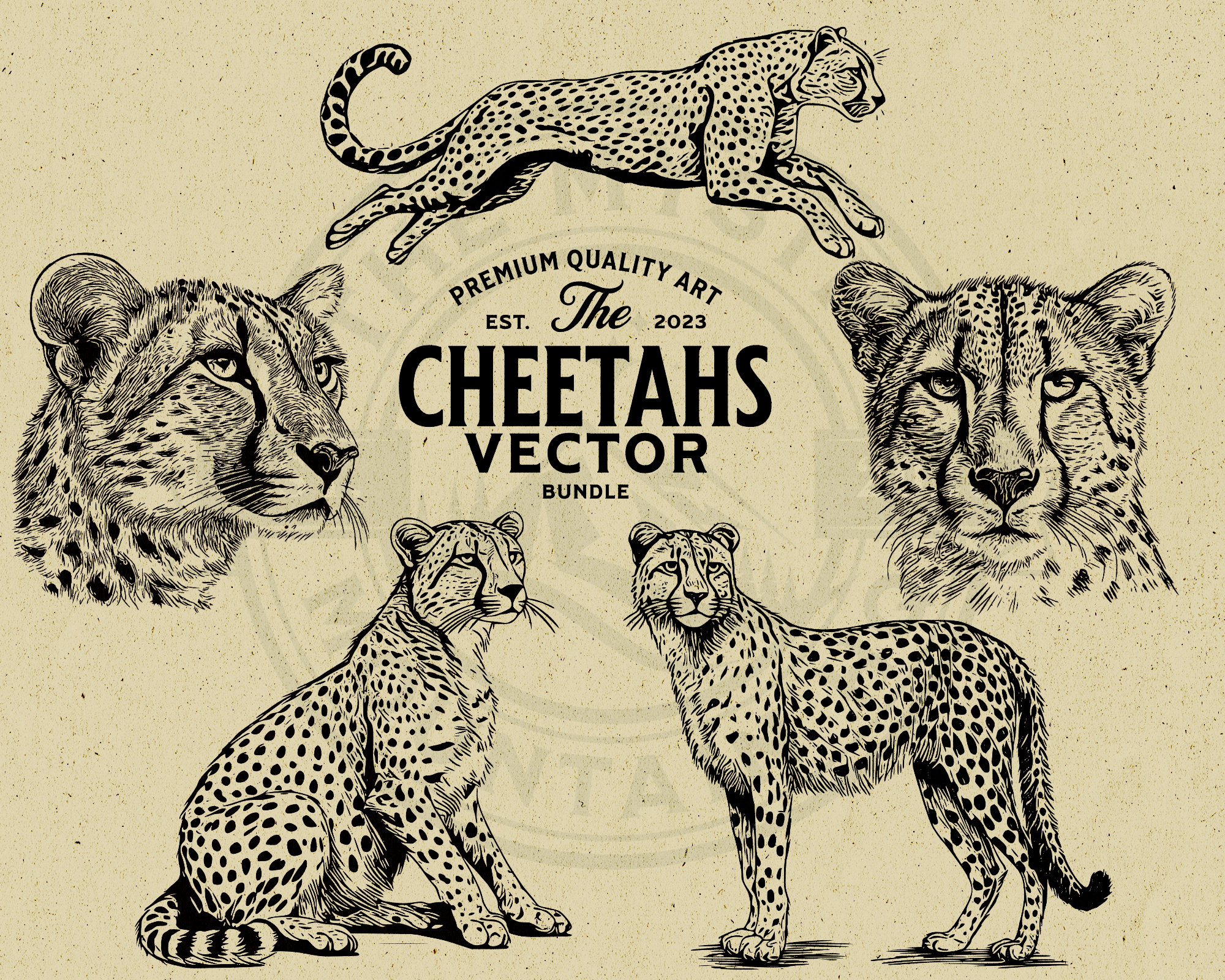 Cheetah Vector Illustration Bundle, Commercial License (SVG, PNG, EPS ...