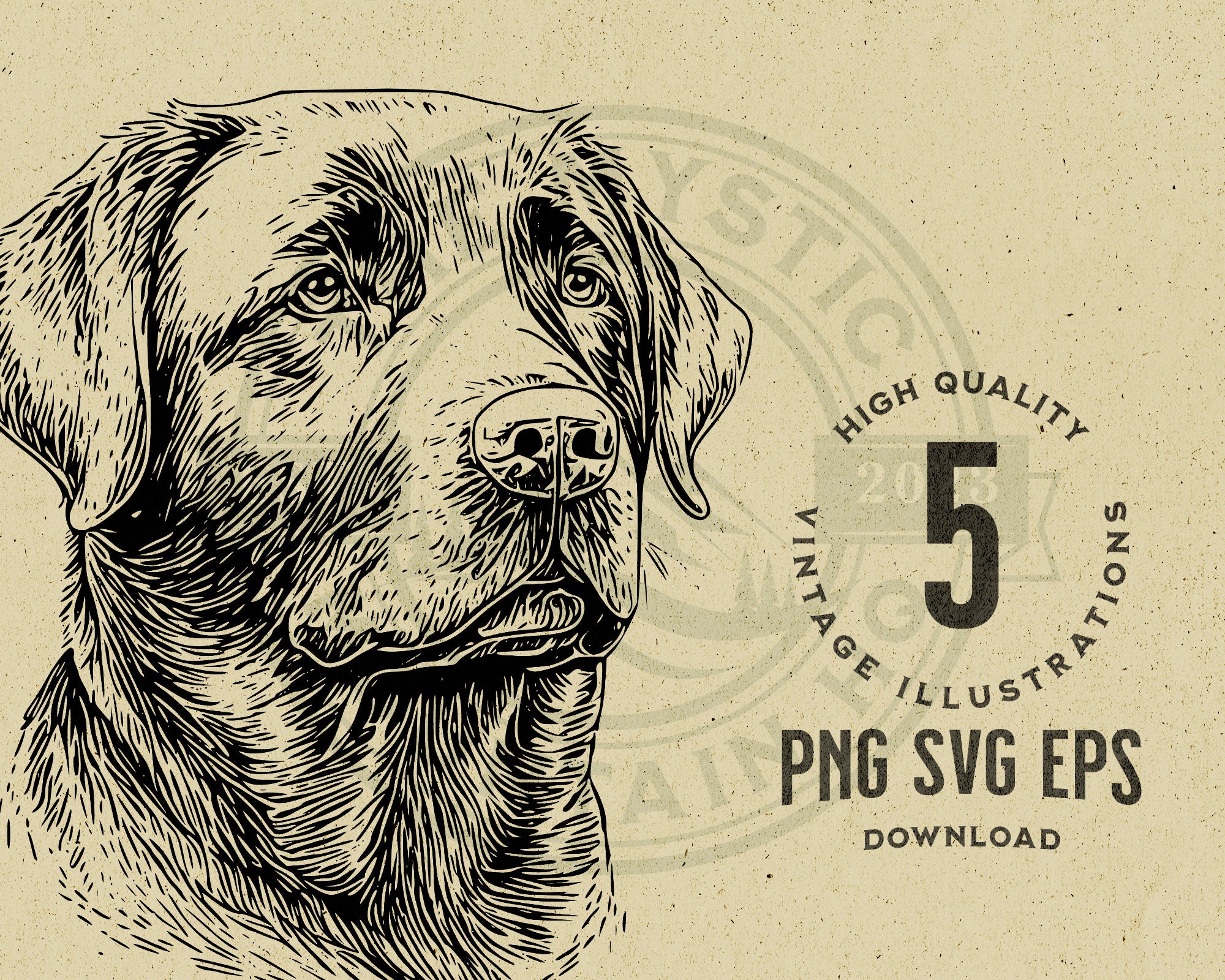 Labrador Retriever Vector Illustration Bundle, Dog Art (digital ...