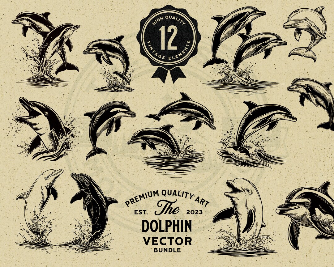 Dolphin SVG, PNG, Vector Illustration Bundle, Instant Digital Download ...