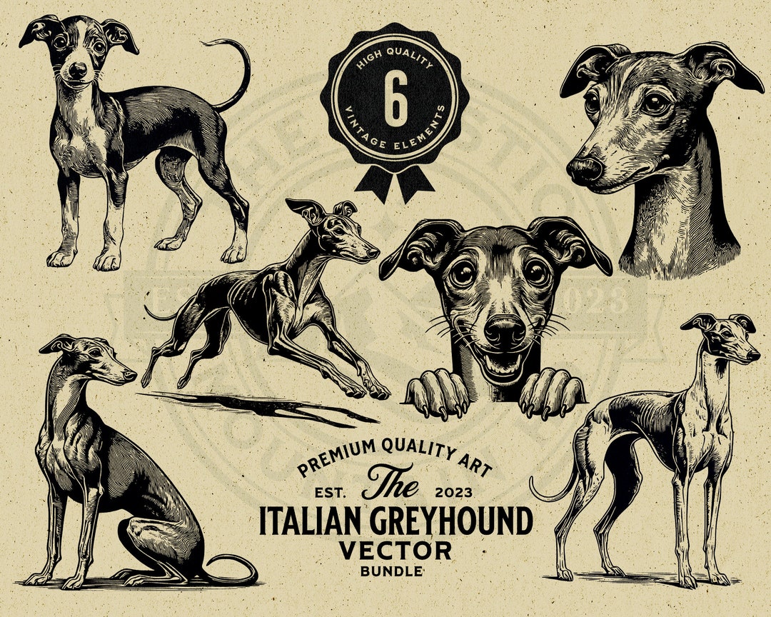 Italian Greyhound Vector Art Bundle, Puppy & Peeking Dog (digital ...