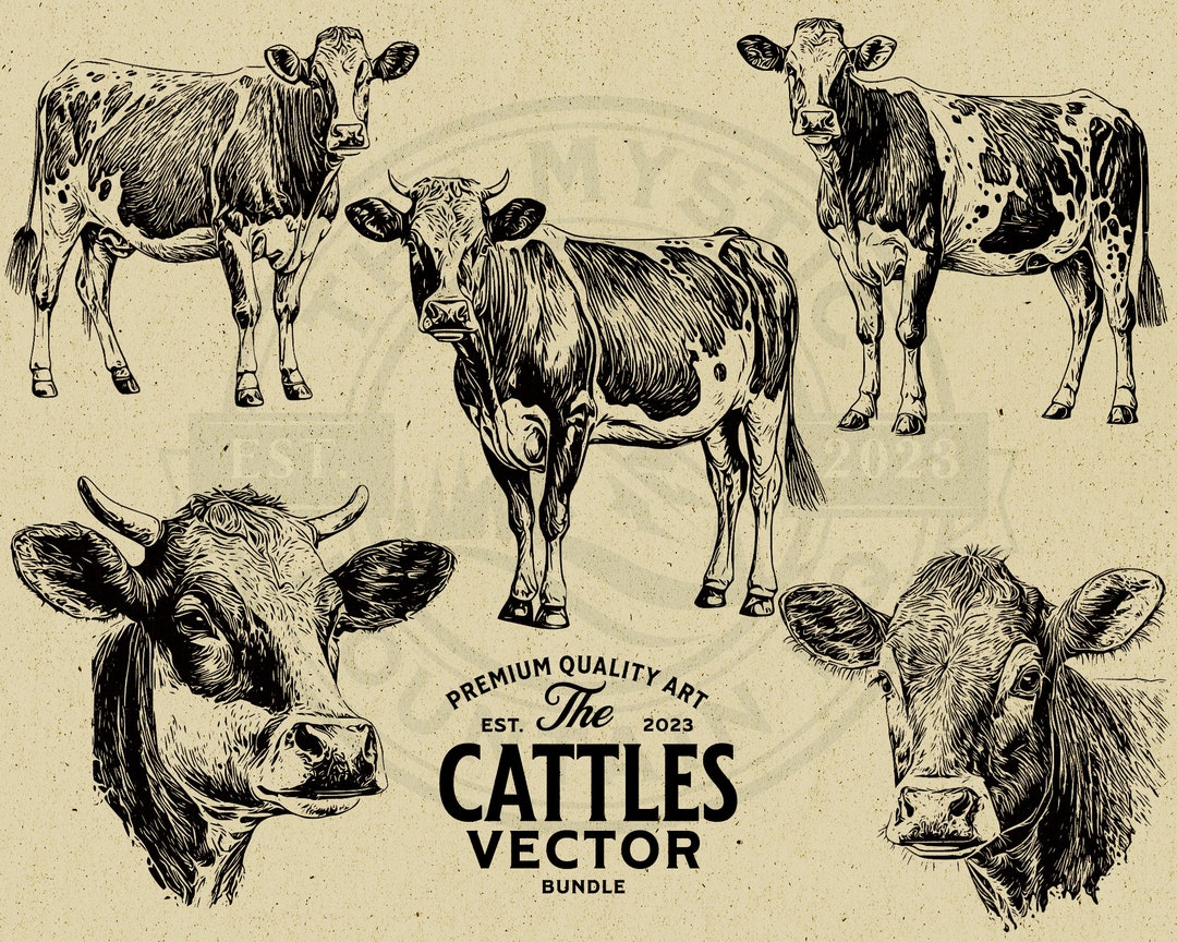 Cattle Cow Vector Animal Illustration Bundle, Vintage, Cut File, SVG ...
