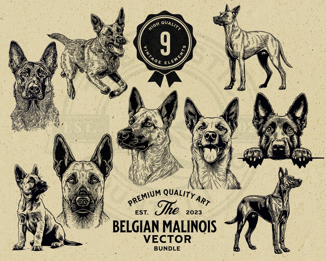 Belgian Malinois Dog Vector Art Illustration Bundle (digital Download ...