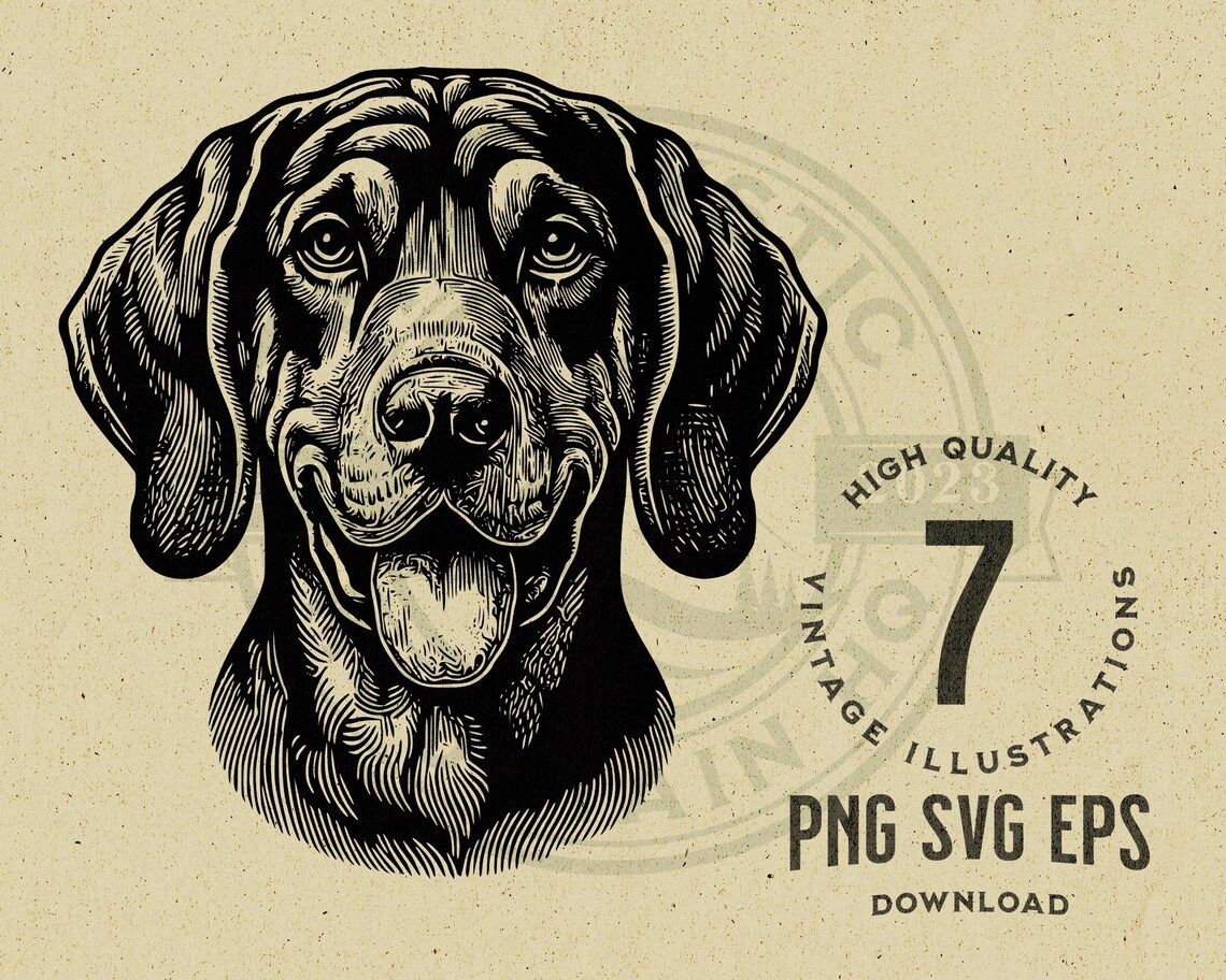 Plott Hound Vector Art Bundle, Dog SVG PNG, Puppy Peeking Design ...