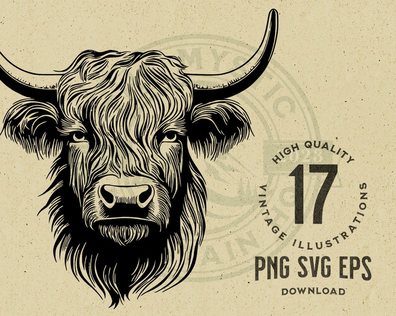 Vintage Highland Cow Vector Illustration Bundle (PNG, SVG, EPS) - Etsy