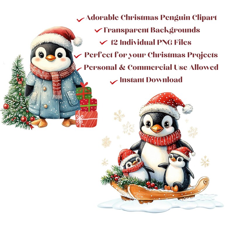 12 Winter Penguin Clipart PNG Files, Christmas Penguin Clipart, Cute ...