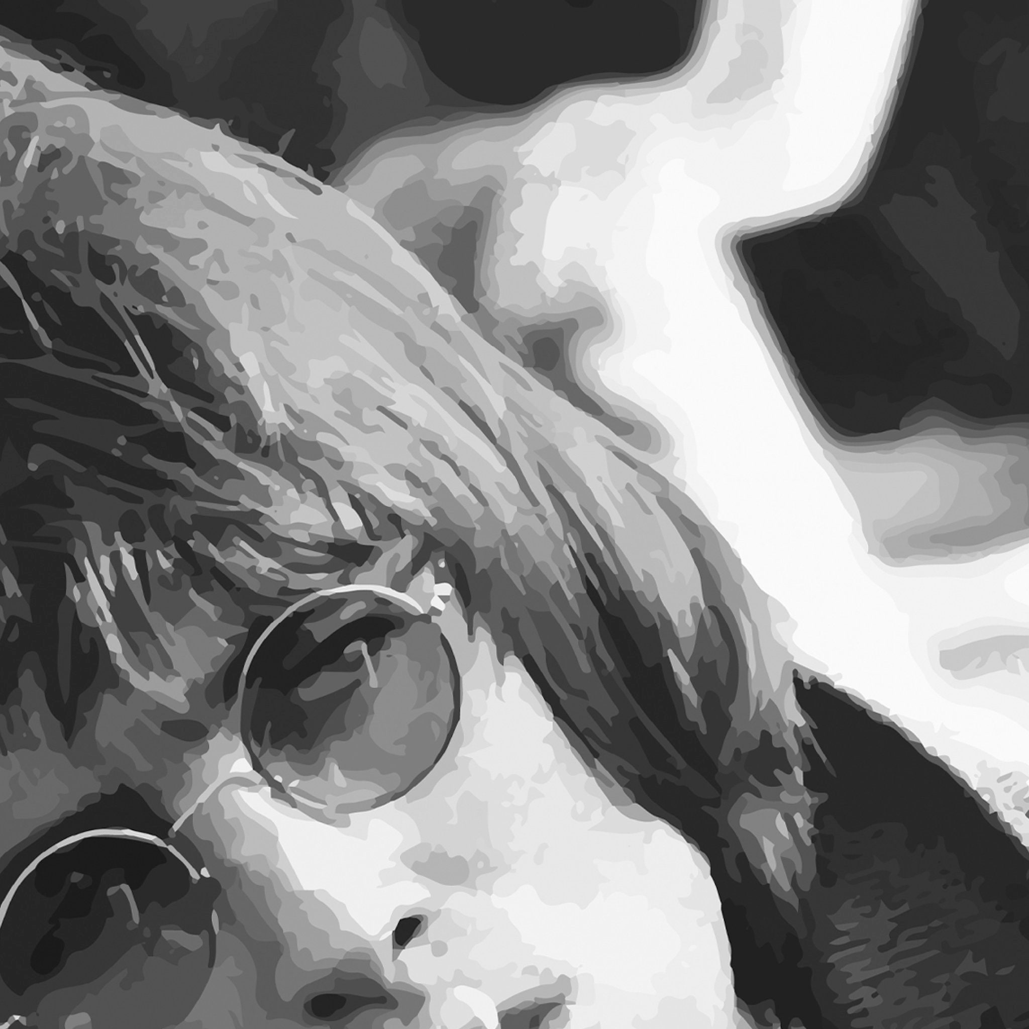 Liam Gallagher Oasis A3 Vector Rock Icon Poster Oasis Fan Supersonic ...