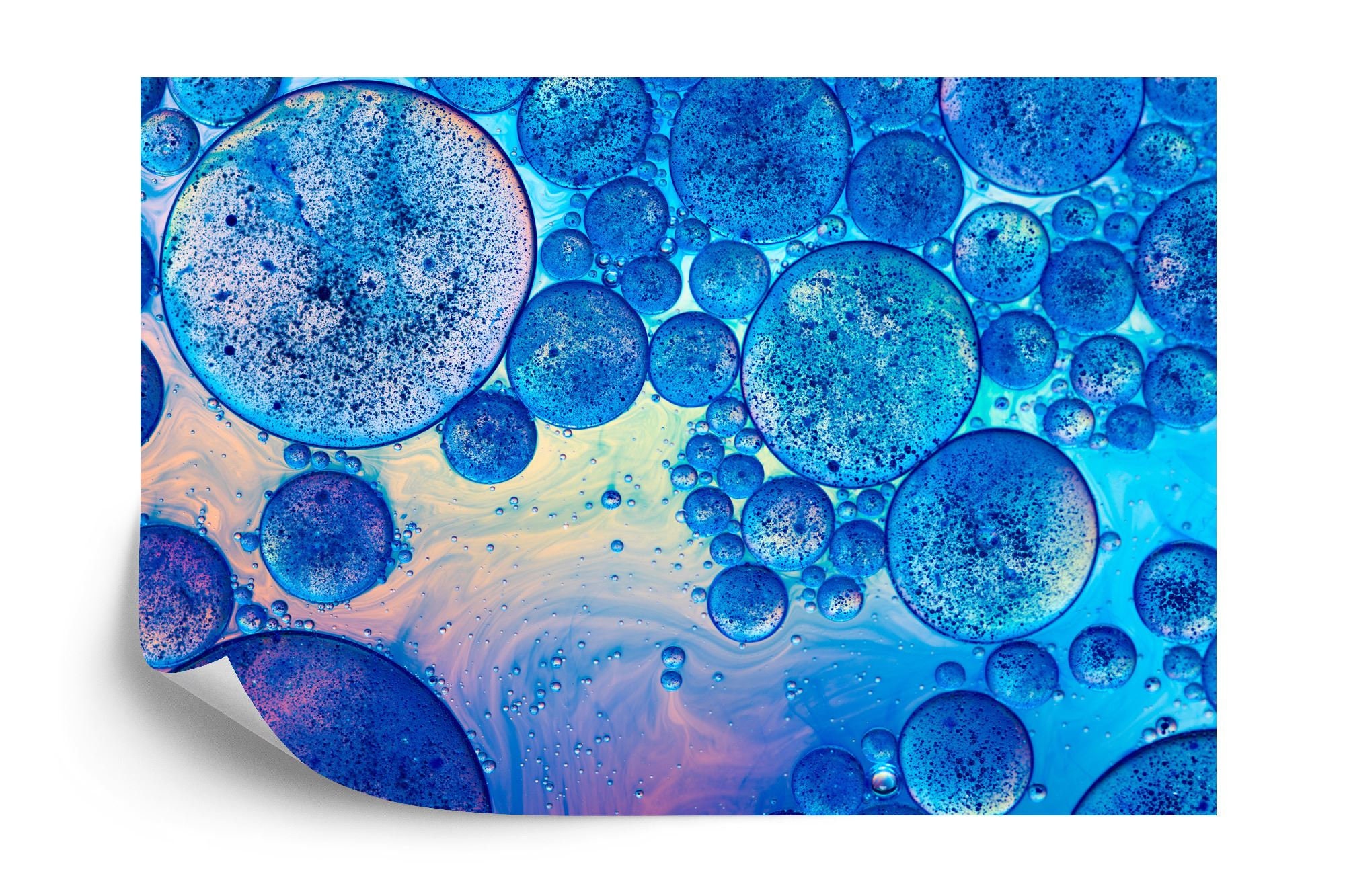 Human Body Cells Under Microscope Gift Art Print Photomural - Etsy