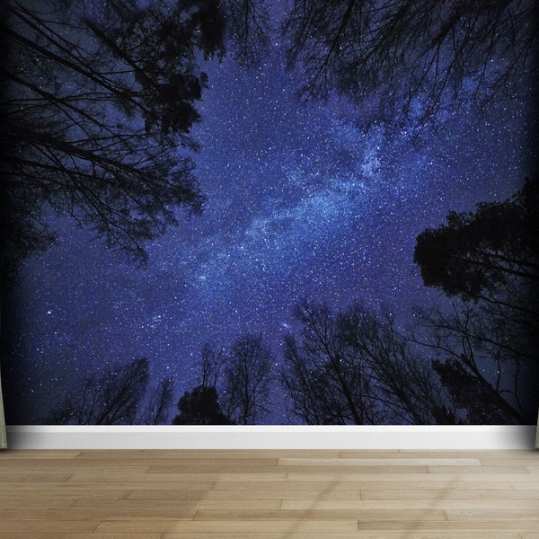Night Sky Mural - Etsy