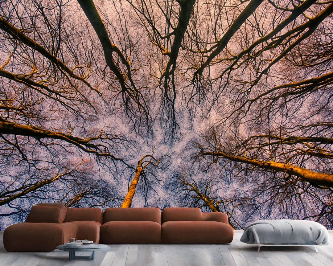 Sunrise Forest Ceiling Wallpaper Mural, Blue Violet Sky, Peel and Stick ...