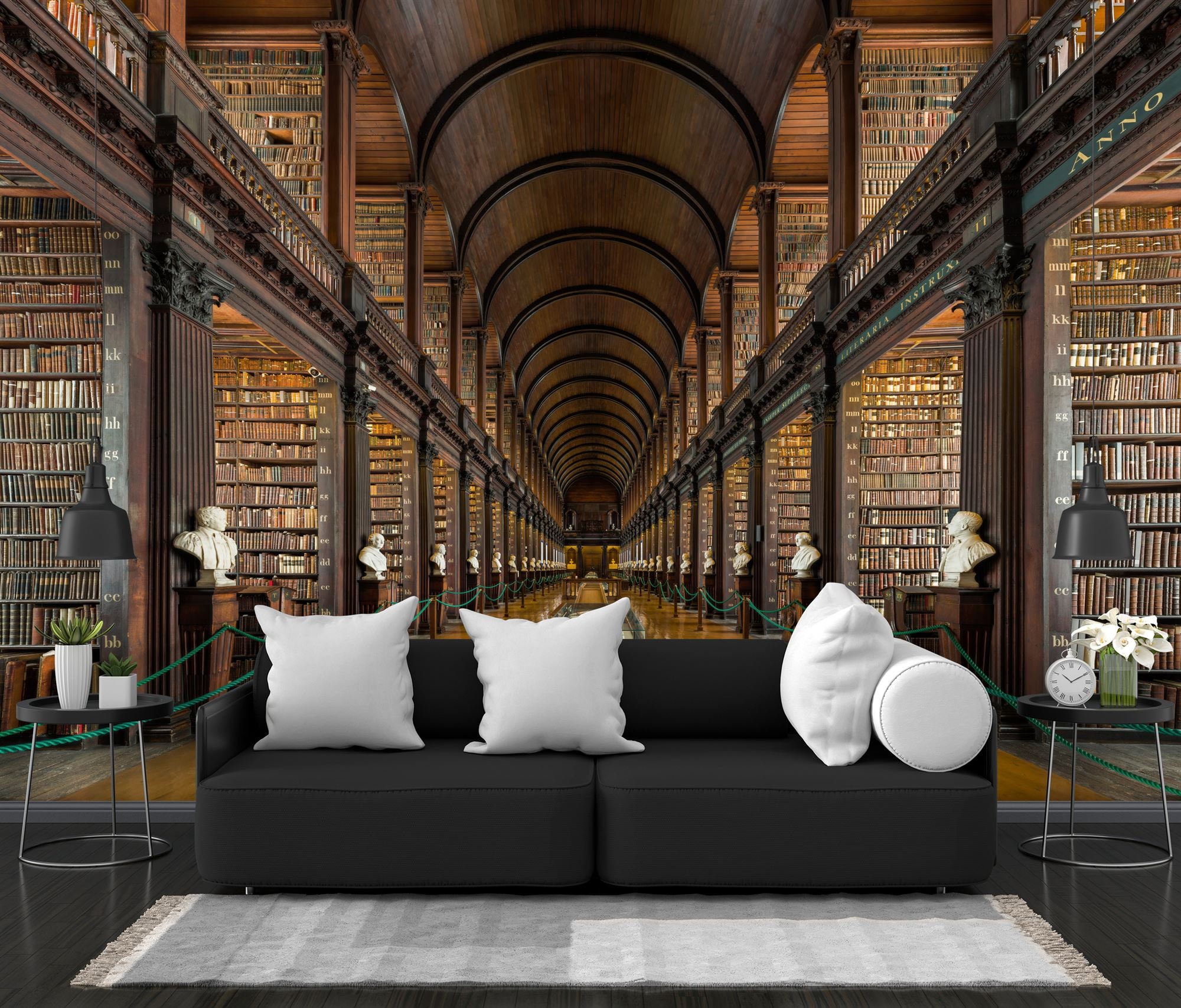 Trinity College Library Mural, Reading Room Decor, Peel and Stick ...
