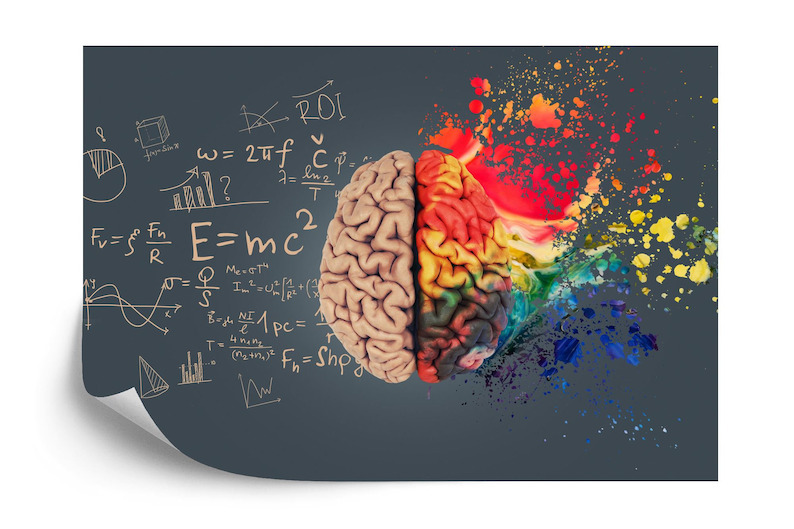 Human Brain Mural, Creative Concept Art Print, Peel and Stick Wallpaper ...