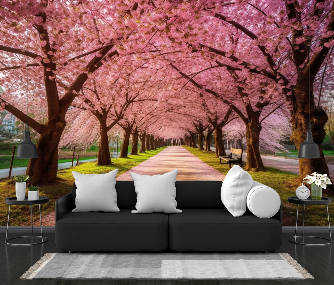 Sakura Pink Cherry Trees Blossoming Alley Wonderful Scenic Park Decor ...