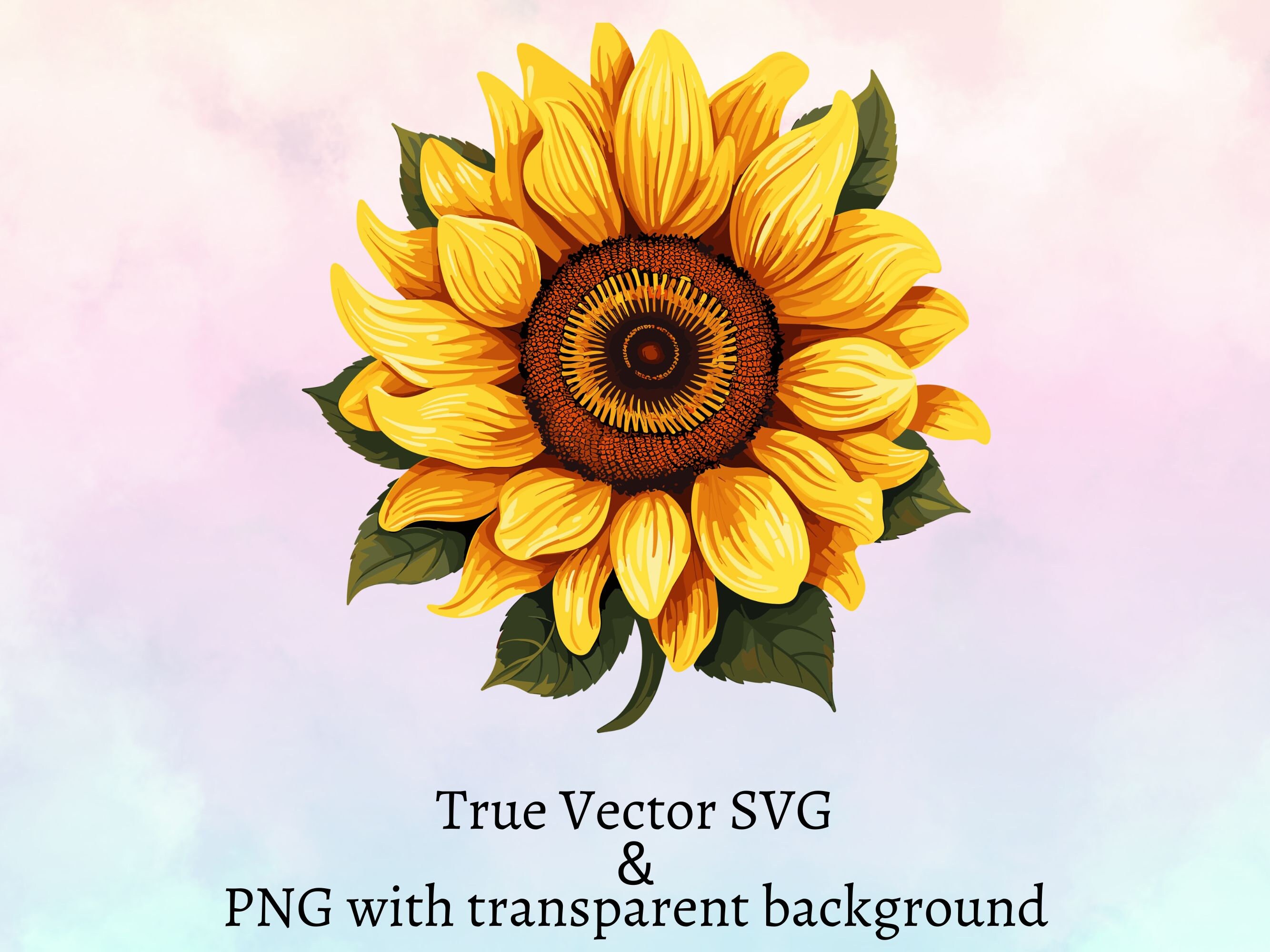 Sunflower SVG Bundle Flowers SVG and Transparent PNG - Etsy Sunflower SVG Bundle Flowers SVG and Transparent PNG - Etsy