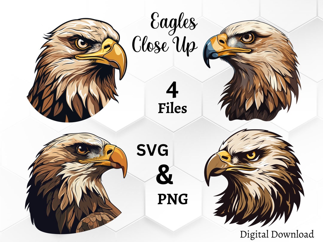 Eagle SVG, Vector Files and Transparent PNG Bundle - Free Commercial ...