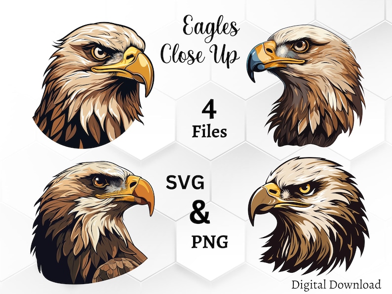 Eagle SVG, Vector Files and Transparent PNG Bundle Free Commercial Use ...