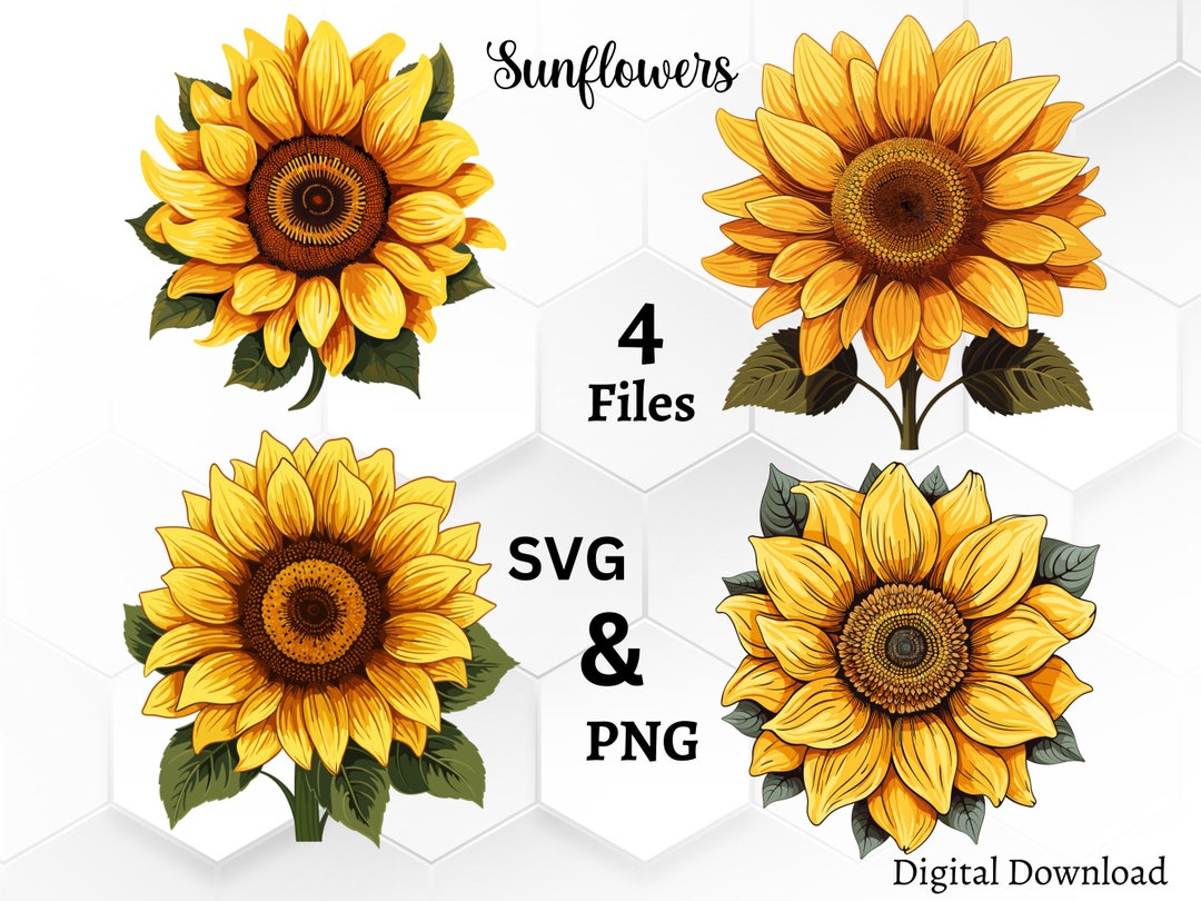 Sunflower SVG Bundle, Flowers SVG and Transparent PNG - Commercial ...