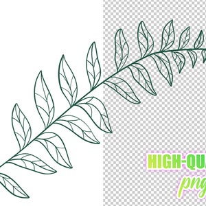 Hand Drawn Line Art Leaves, Doodle Leaves Clipart, Doodle Leaf PNG ...