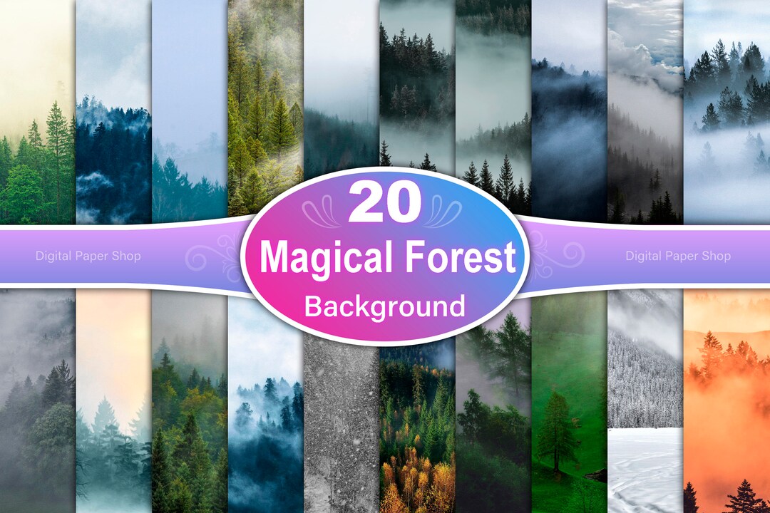 Foggy Magical Forest Background, Foggy Pine Forest Background, Mountain ...