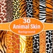 Animal Skin Texture Background, Animal Print Digital Paper, Animal Skin ...