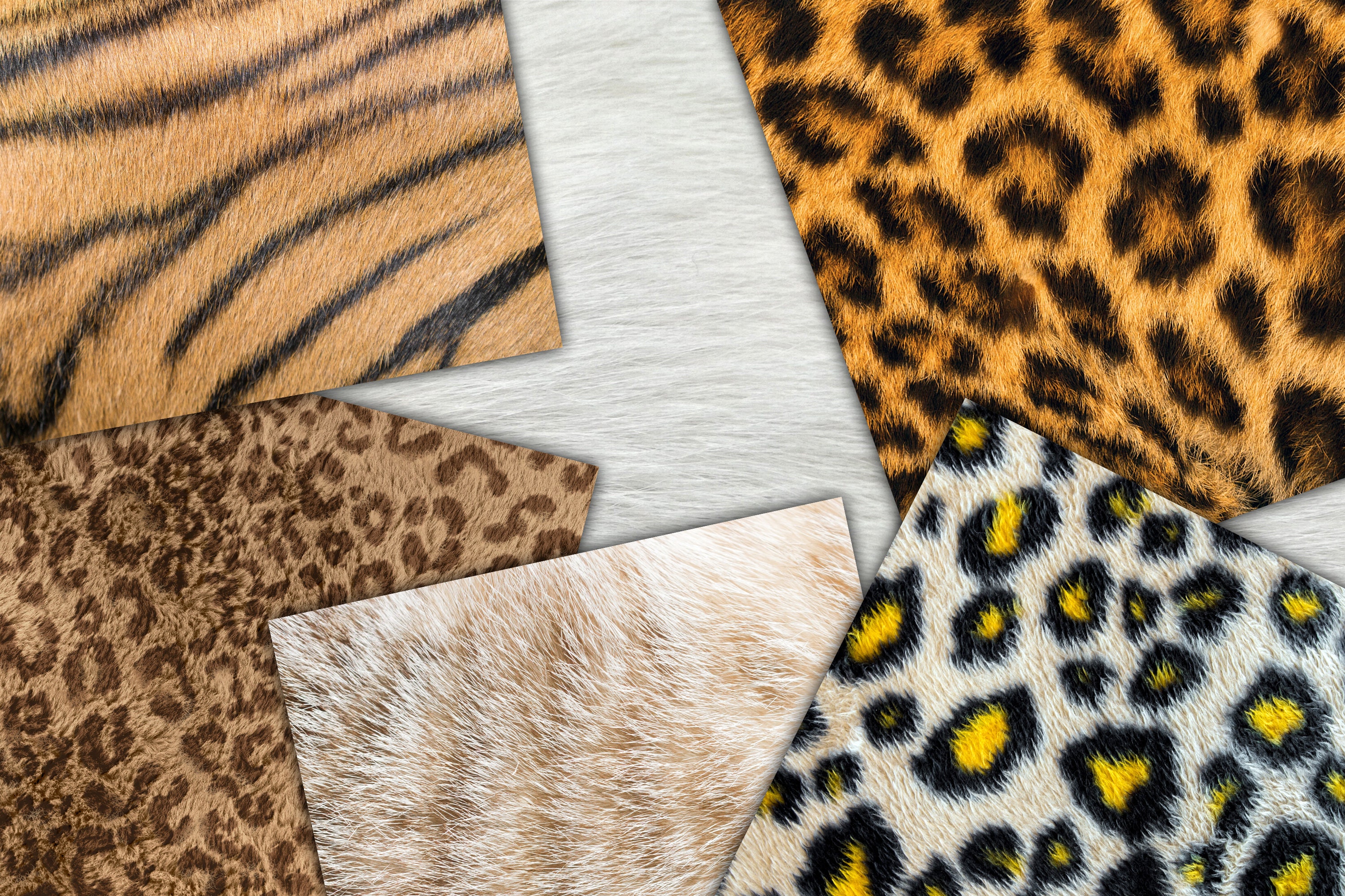 Animals Skin Fur Texture Background, Animals Skin Fur Texture, Animals ...