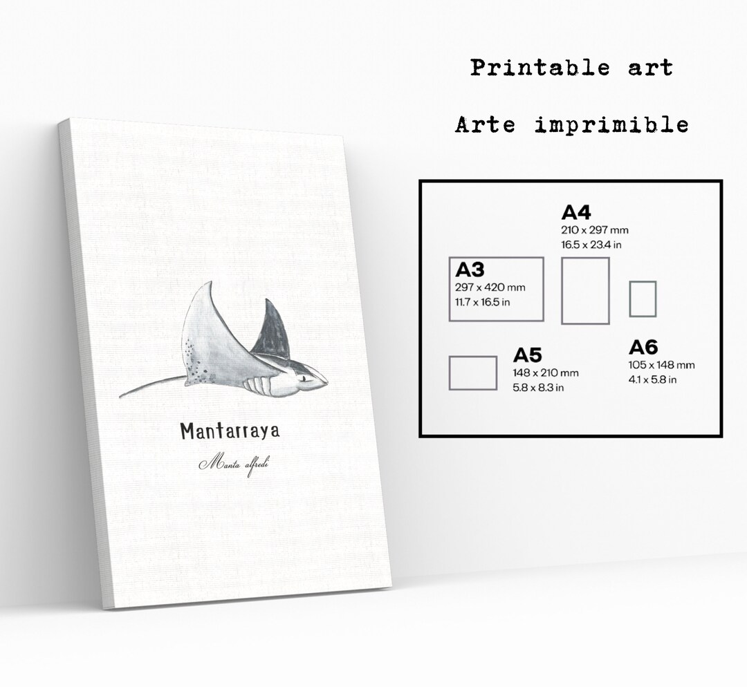 STINGRAY ILLUSTRATION Stingray Watercolor Manta Ray - Etsy