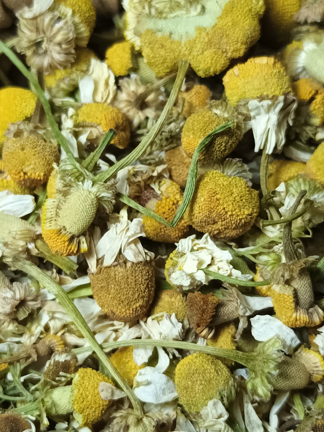 Sweet Chamomile-matricaria Chamomilla 80 Grams Flower - Etsy