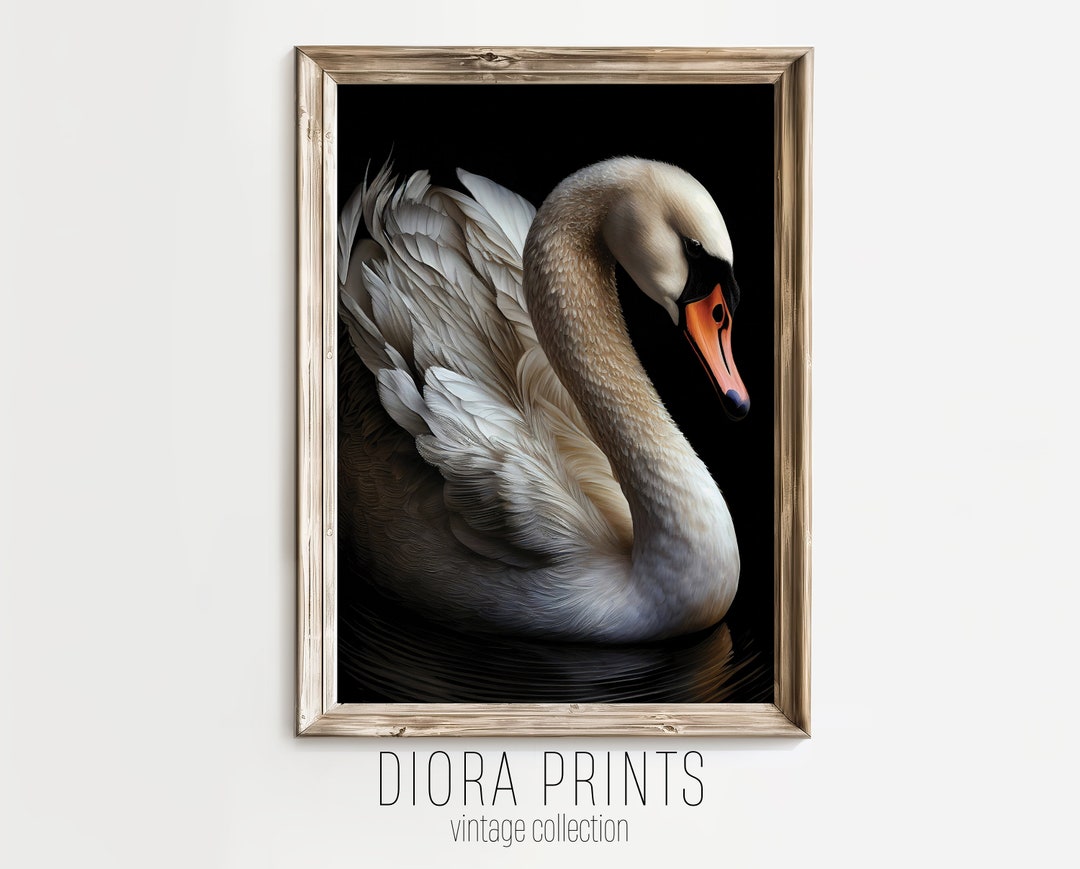 Vintage Moody Swan Print Swan Printable Wall Art Swan Painting Instant ...