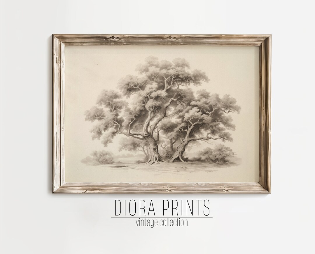 Antique Oak Tree Sketch, Botanical Printable Wall Art, Neutral Vintage ...