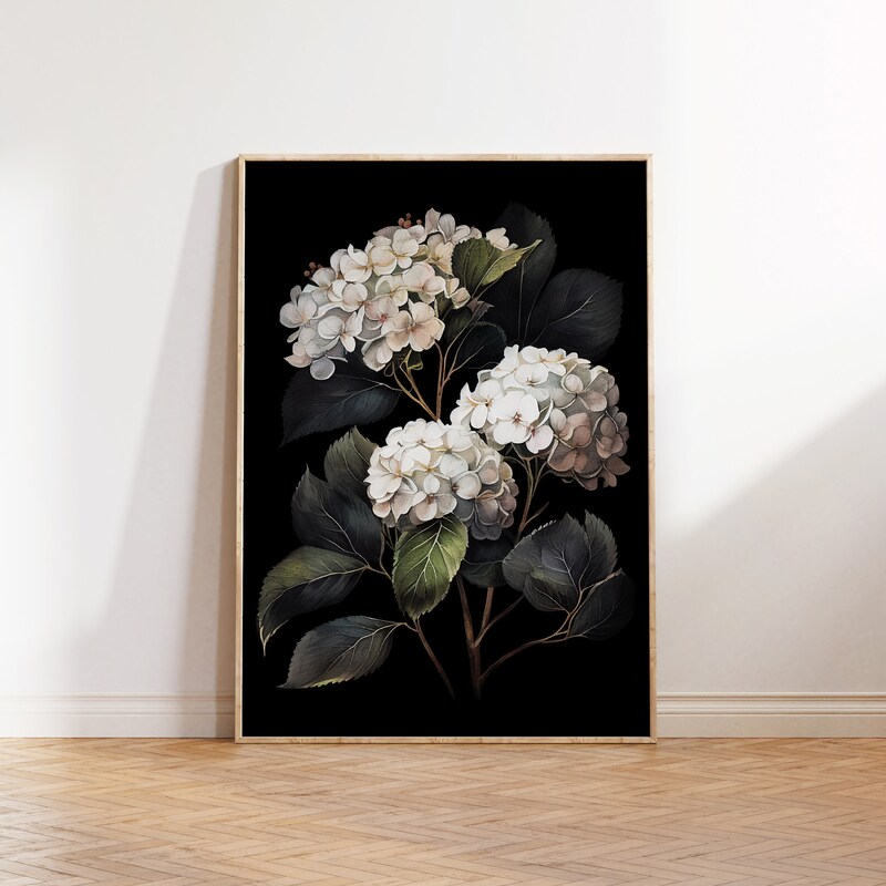 White Hydrangea - Etsy