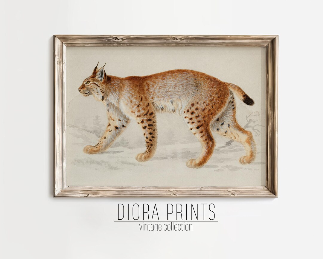 Vintage Lynx Animal Print - Snowy Winter Forest Art, Rustic Christmas ...