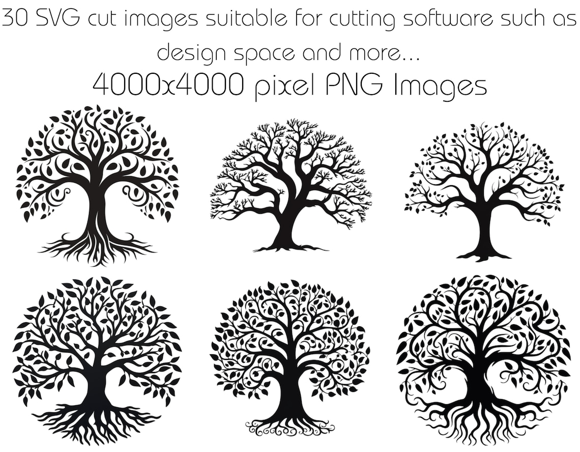 Tree Silhouette Svg, SVG Files for Cricut, Tree Silhouette, Tree Png ...