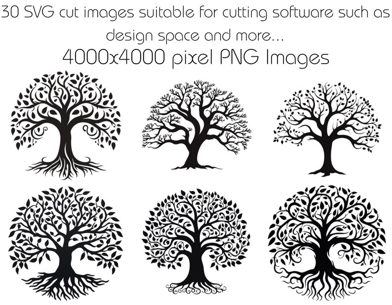 Tree Silhouette Svg, SVG Files for Cricut, Tree Silhouette, Tree Png ...