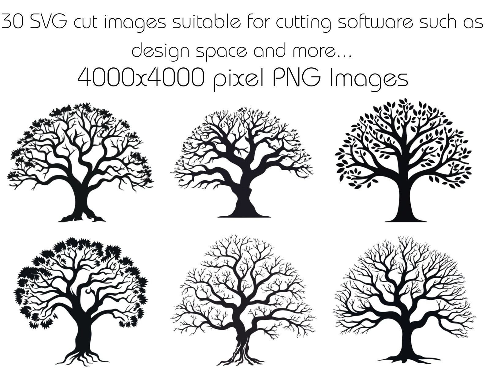 Tree Silhouette Svg, SVG Files for Cricut, Tree Silhouette, Tree Png ...