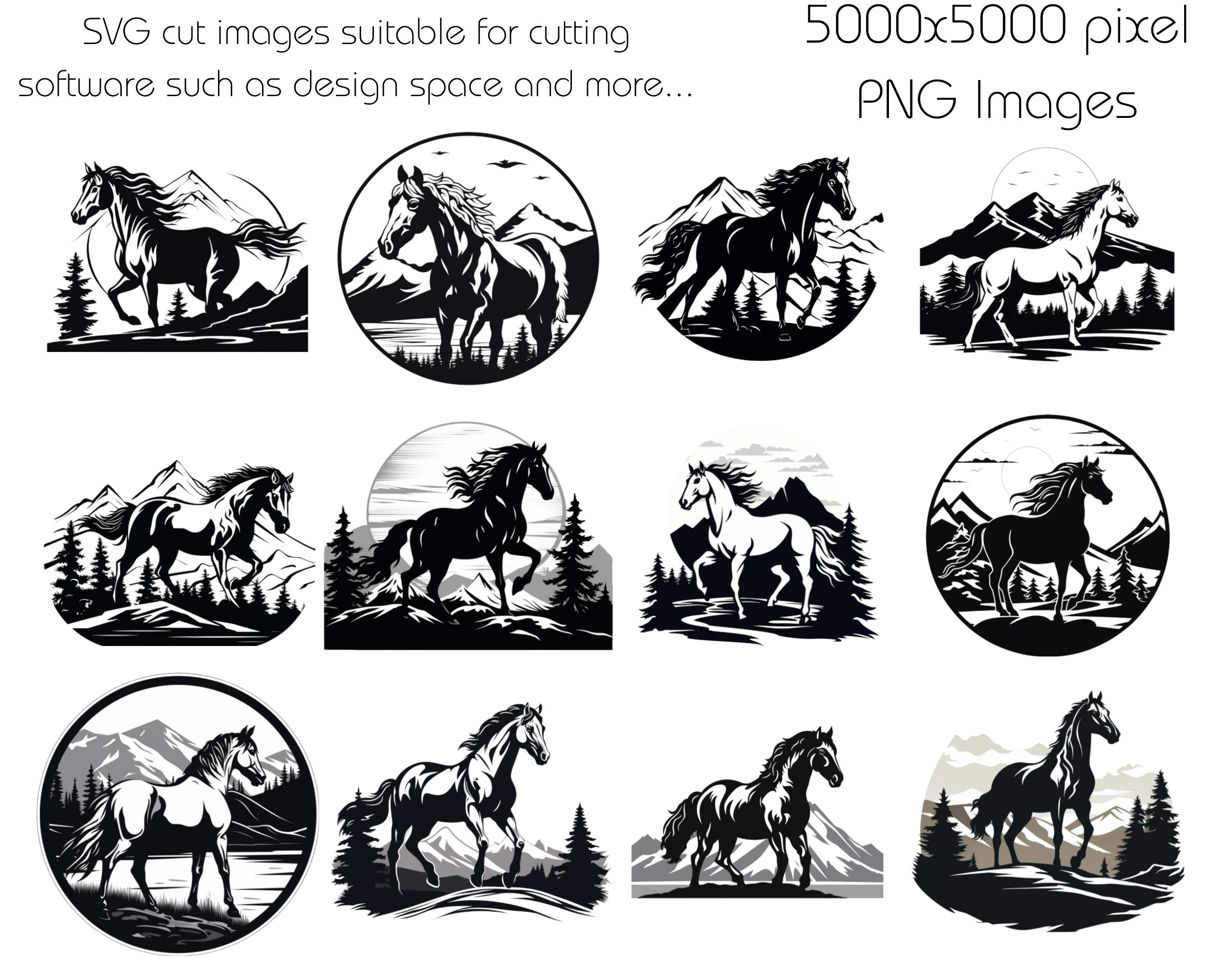 Horse Svg, Horse Svg File, Horse Silhouette, Silhouette Svg, Horse Head ...
