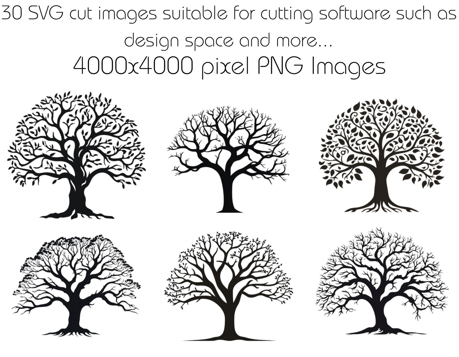 Tree Silhouette Svg, SVG Files for Cricut, Tree Silhouette, Tree Png ...