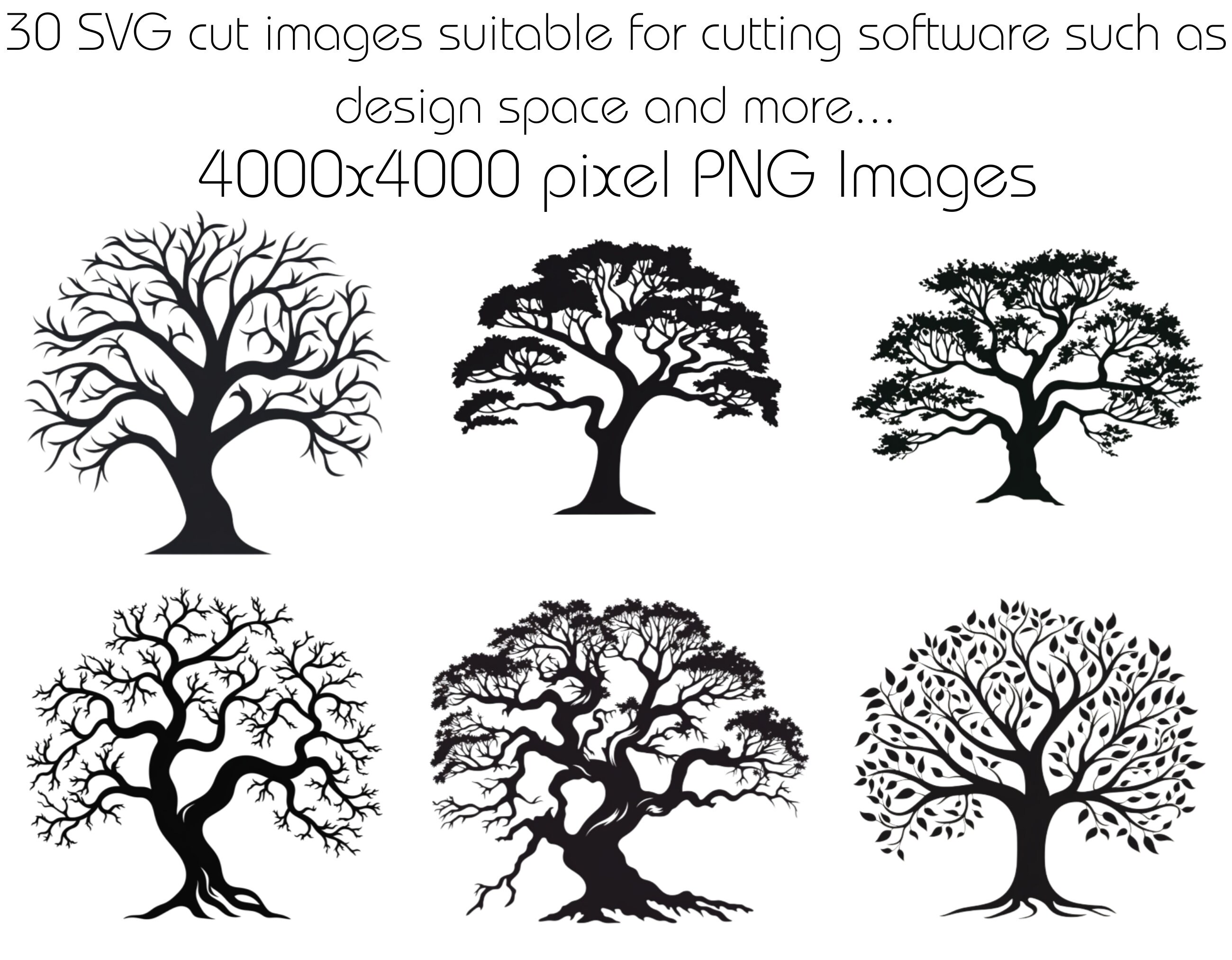 Tree Silhouette Svg, SVG Files for Cricut, Tree Silhouette, Tree Png ...