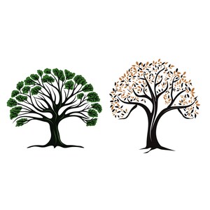 Tree Silhouette Svg, SVG Files for Cricut, Tree Silhouette, Tree Png ...