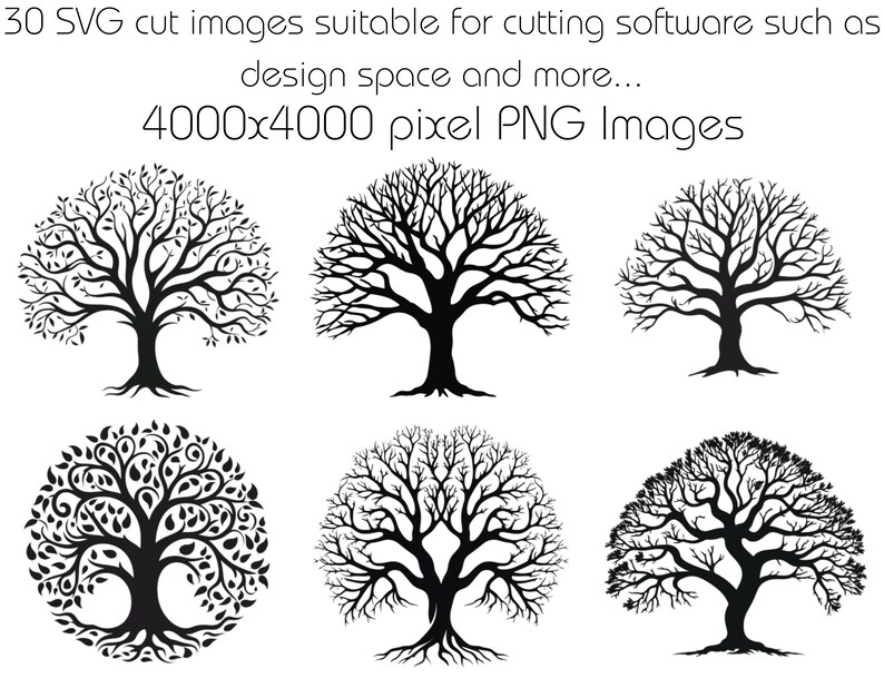 Tree Silhouette Svg, SVG Files for Cricut, Tree Silhouette, Tree Png ...