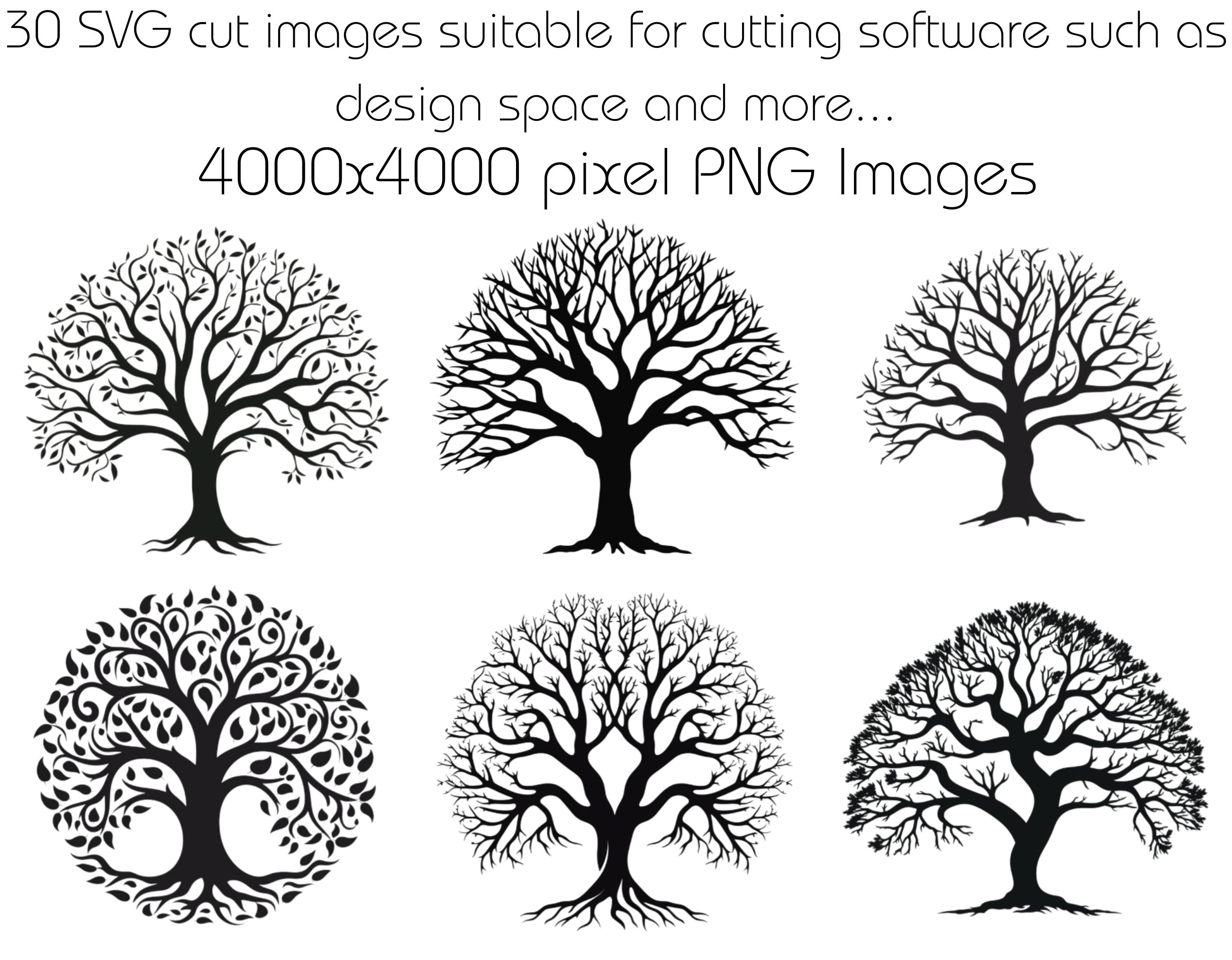 Tree Silhouette Svg, SVG Files for Cricut, Tree Silhouette, Tree Png ...