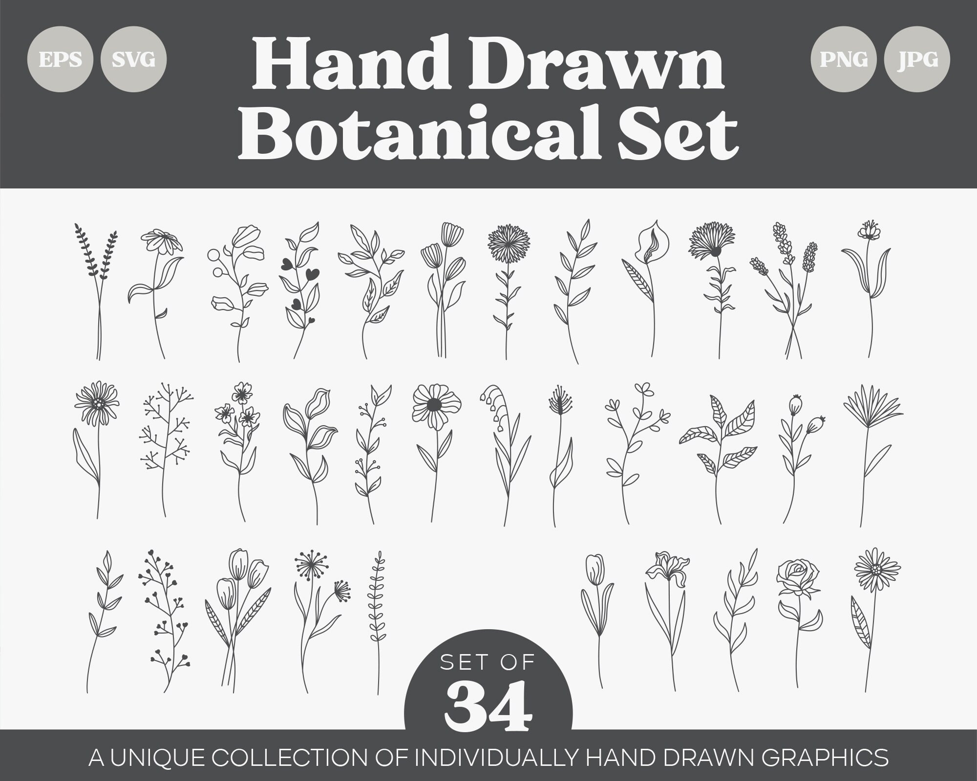 Botanical SVG EPS Bundle - Greenery Svg, Flower Svg, Plant Svg, Botany ...
