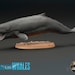 Livyatan Melvillei, Miniature to Scale; Replicas of Extinct Fauna of ...