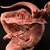 Livyatan Melvillei, Miniature to Scale; Replicas of Extinct Fauna of ...