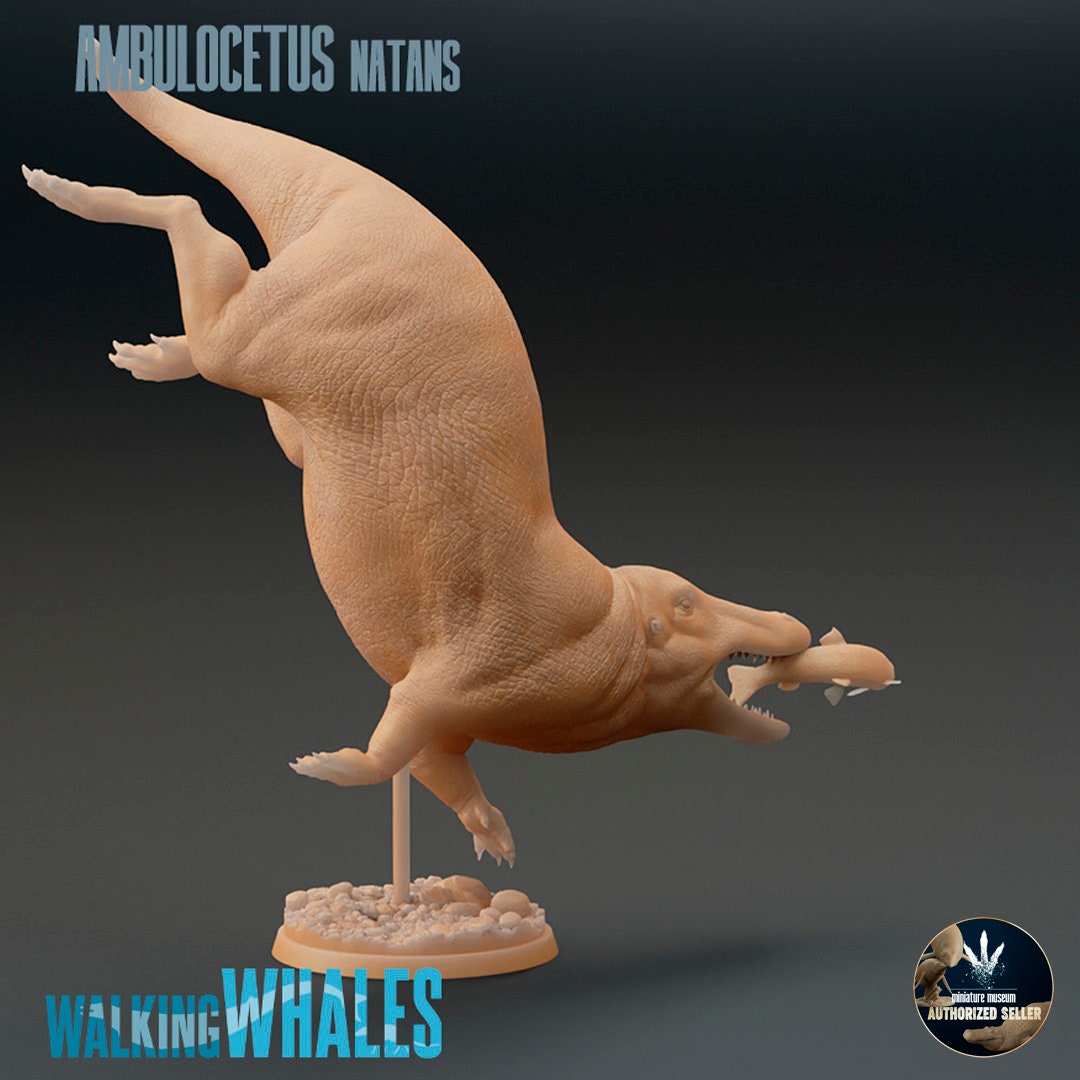 Ambulocetus Miniature: Extinct Fauna of the Cenozoic in Resin for ...