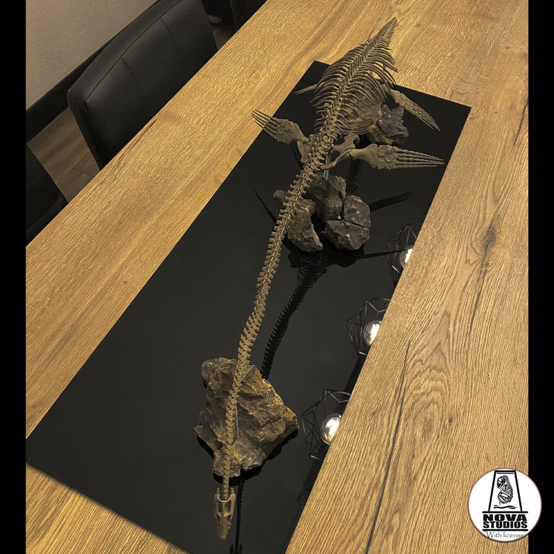 Elasmosaurus Platyurus Skeleton: Extinct Fauna of the Mesozoic in Resin ...