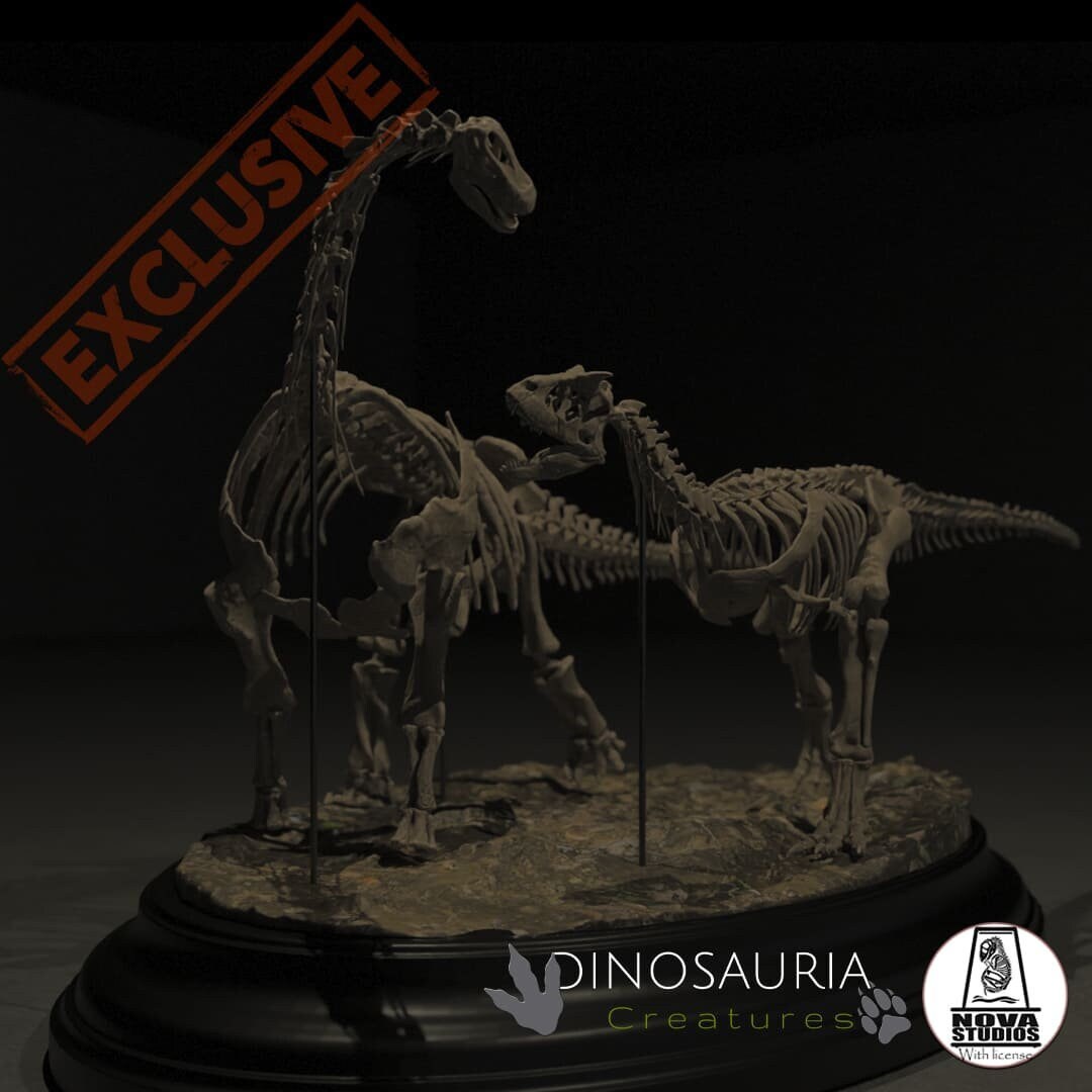 Saltasaurus and Carnotaurus Skeleton: Extinct Fauna of the Mesozoic in ...