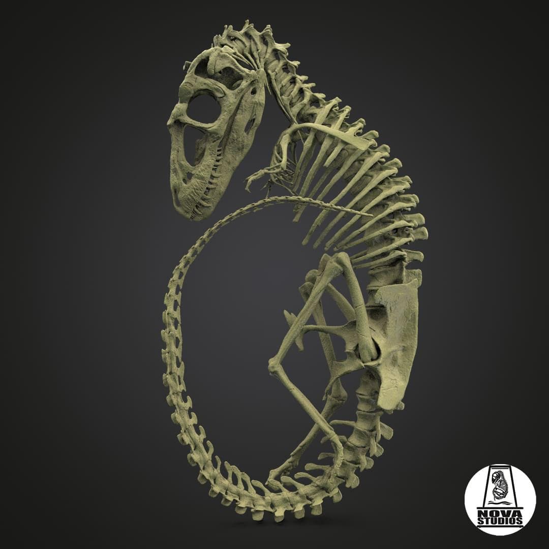 Paintable Sculpture of a Tyrannosaurus Rex Fetus: A Detailed Scientific ...