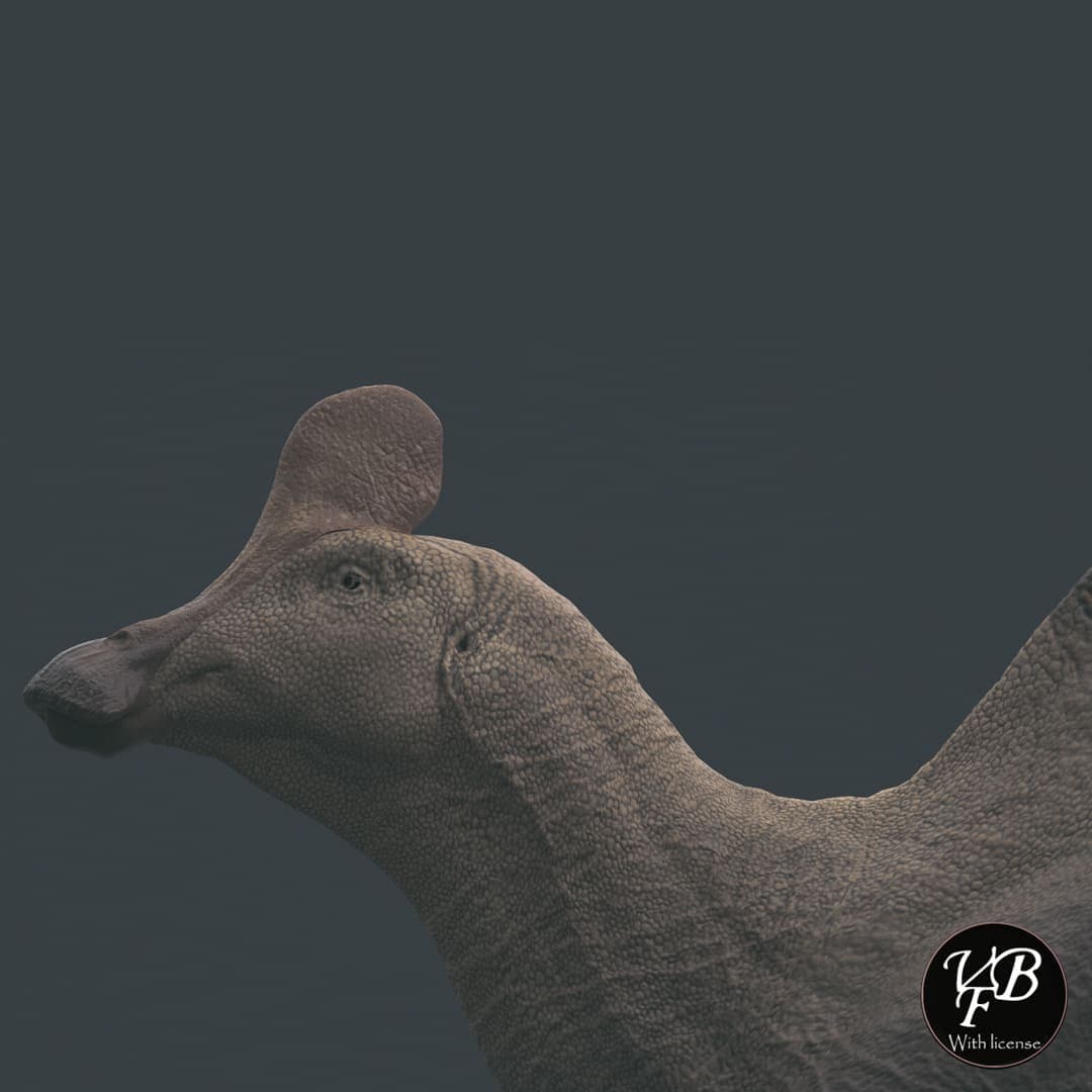 Magnapaulia Laticaudus Miniature to Paint: Detailed Replica of the ...